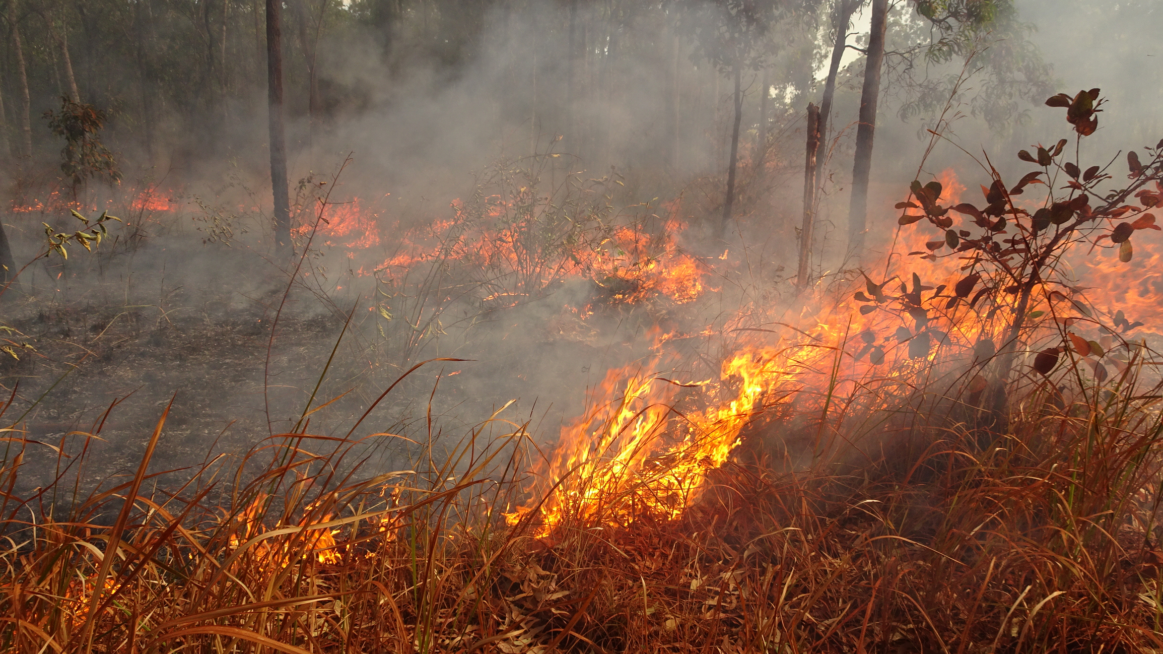 Waterbombers, multiple fire crew brought in to battle large bushfire in ...